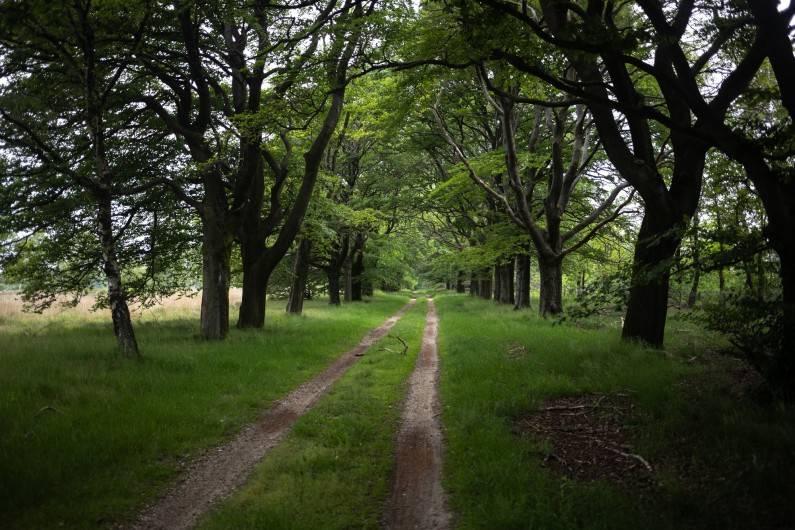 GREEN DIVIDE | Gravel Unionen