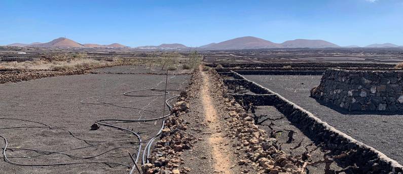 THE LAVA FIELDS OF THE LANZAROTE | Gravel Unionen