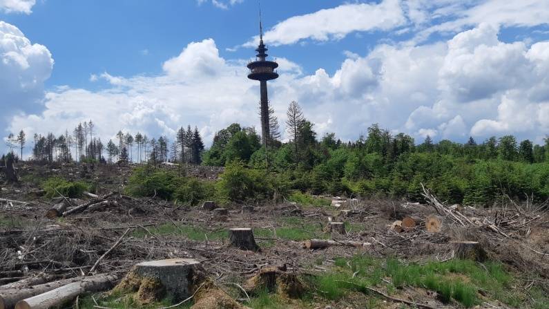 Ride Report - TIMO ROKITTA - ORBIT360 2021 | Gravel Unionen